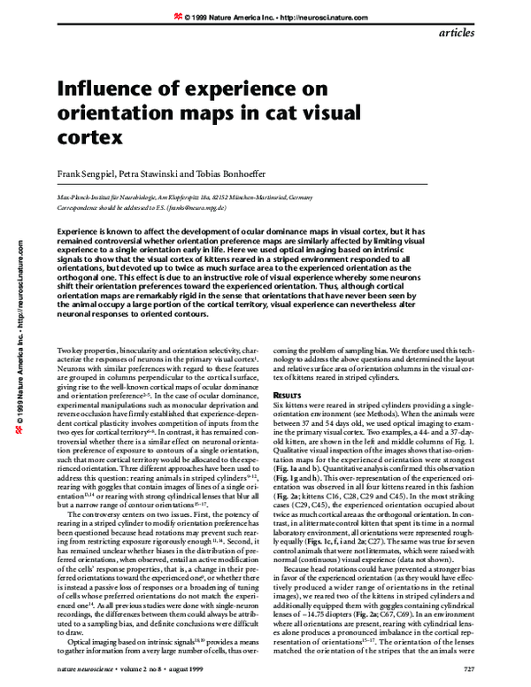 (PDF) Influence of experience on orientation maps in cat visual cortex