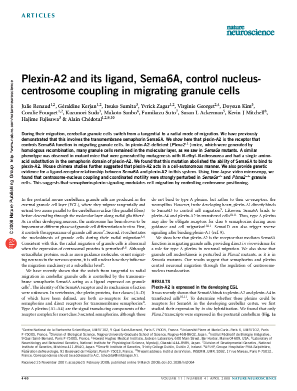 (PDF) Plexin-A2 and its ligand, Sema6A, control nucleus-centrosome ...