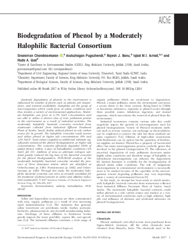 (PDF) Biodegradation of phenol by a moderately halophilic bacterial consortium