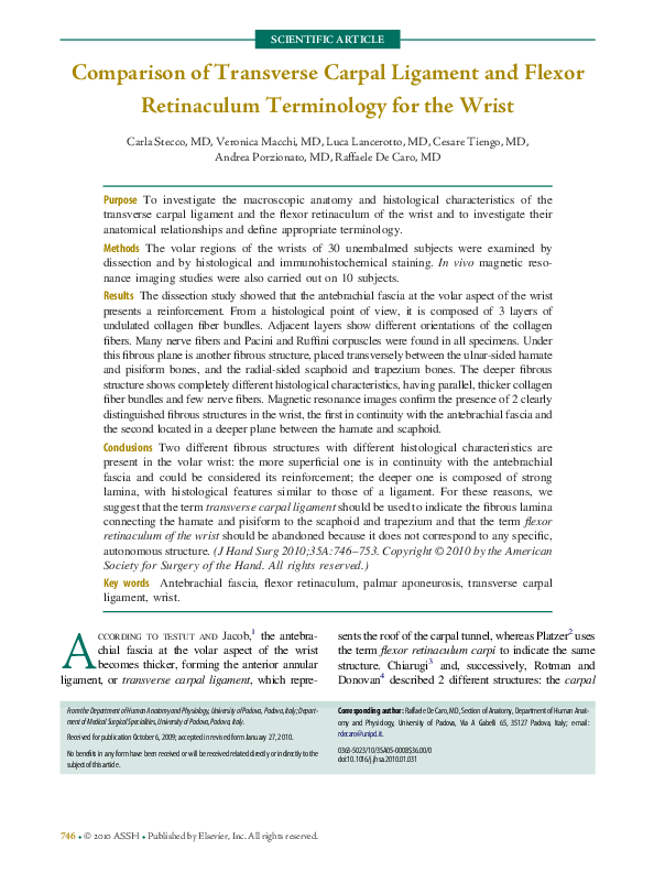 (PDF) Comparison of Transverse Carpal Ligament and Flexor Retinaculum ...