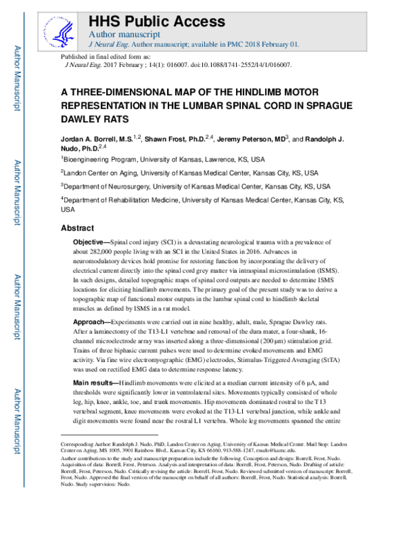 (PDF) A 3D map of the hindlimb motor representation in the lumbar ...