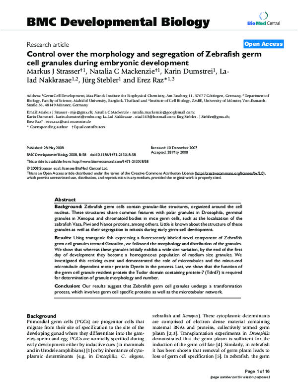 (PDF) Control over the morphology and segregation of Zebrafish germ ...