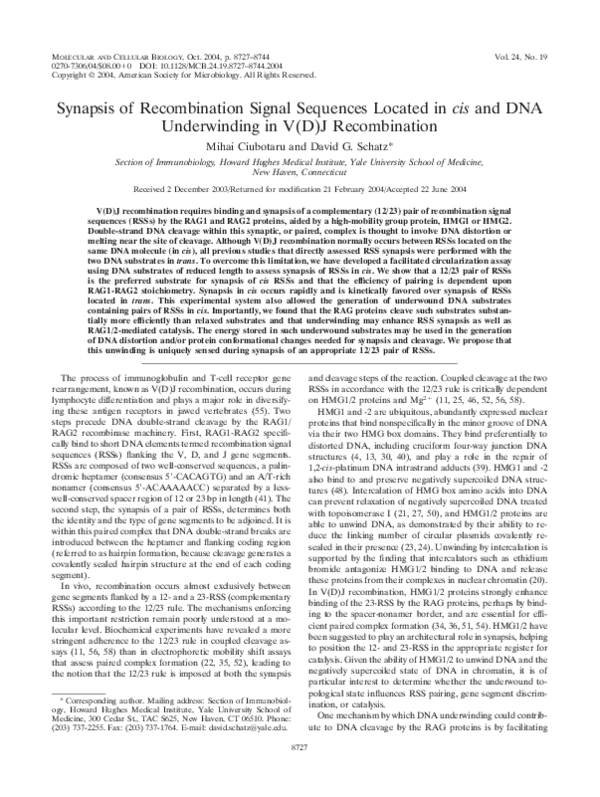 (PDF) Synapsis of Recombination Signal Sequences Located in cis and DNA ...