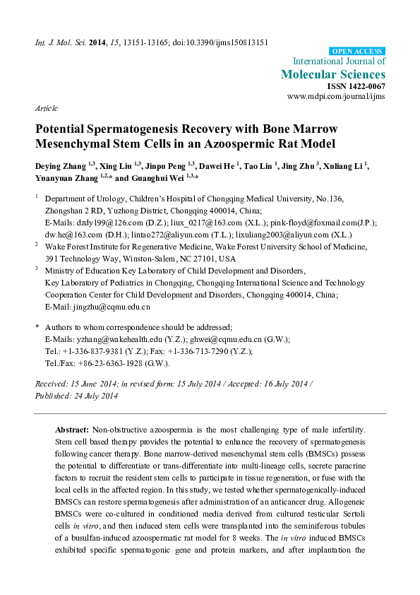 (PDF) Potential spermatogenesis recovery with bone marrow mesenchymal ...