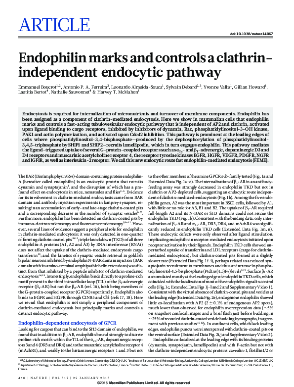 (PDF) Endophilin marks and controls a clathrin-independent endocytic ...