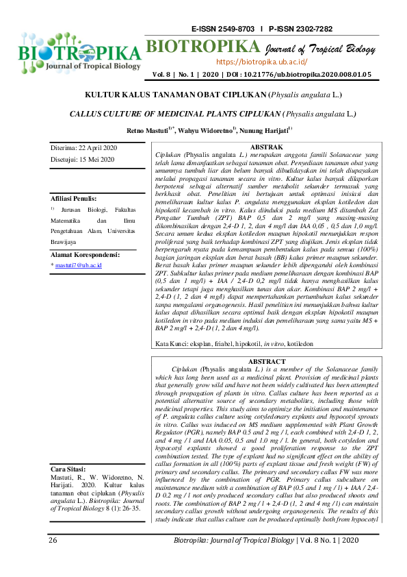 (PDF) Kultur Kalus Tanaman Obat Physalis angulata L. (Ciplukan) | retno ...