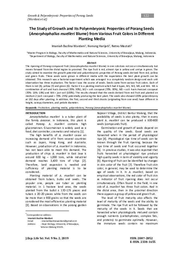 (PDF) The Study of Growth and Its Polyembryonic Properties of Porang Seeds (Amorphophallus ...