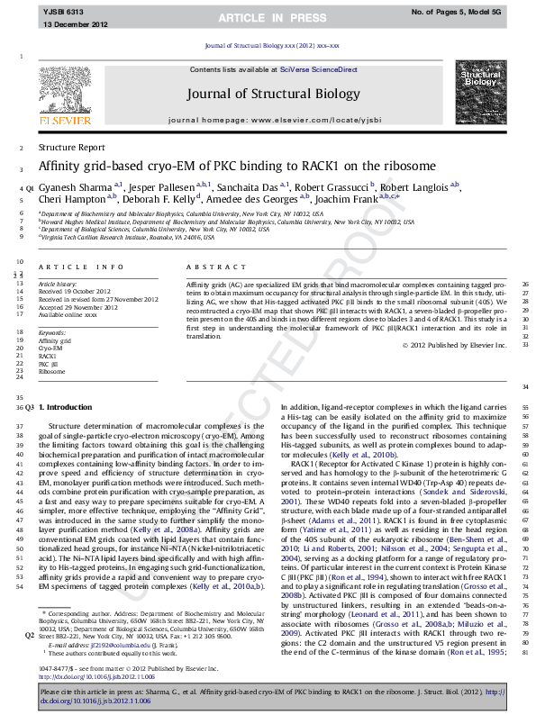 (PDF) Affinity grid-based cryo-EM of PKC binding to RACK1 on the ribosome