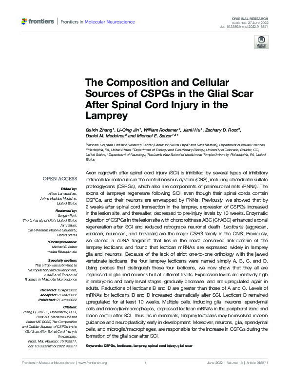 (PDF) The Composition and Cellular Sources of CSPGs in the Glial Scar ...