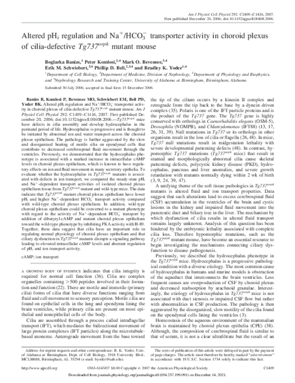 (PDF) Altered intracellular pH regulation and Na+/HCO3 - transporter ...
