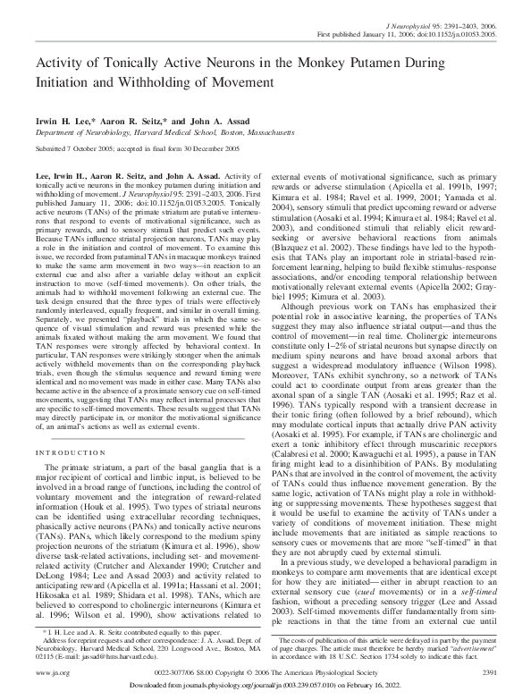 (PDF) Activity of Tonically Active Neurons in the Monkey Putamen During ...