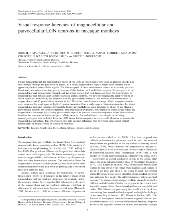 (PDF) Visual response latencies of magnocellular and parvocellular LGN neurons in macaque monkeys