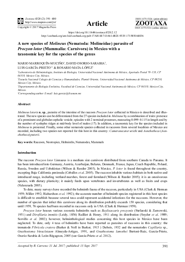 (PDF) A new species of Molineus (Nematoda: Molineidae) parasite of ...