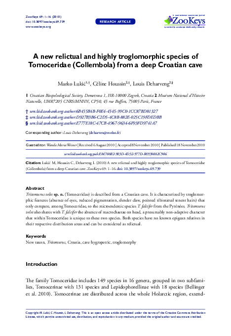 (PDF) A new relictual and highly troglomorphic species of Tomoceridae ...
