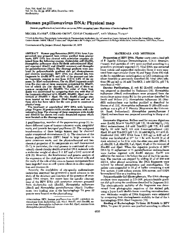(PDF) Human papillomavirus DNA: physical map