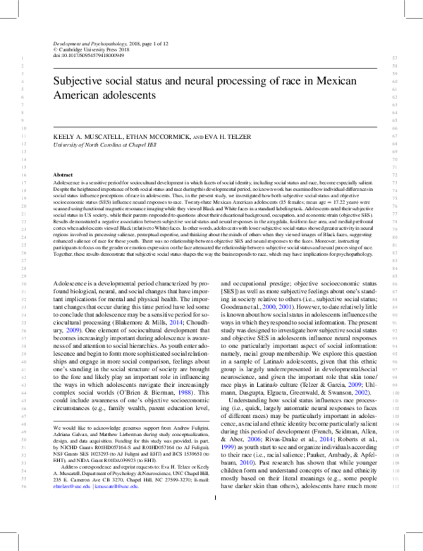 (PDF) Subjective social status and neural processing of race in Mexican ...