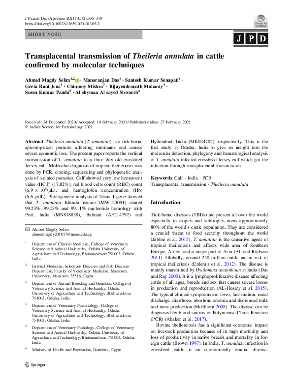 Pdf Transplacental Transmission Of Theileria Annulata In Cattle