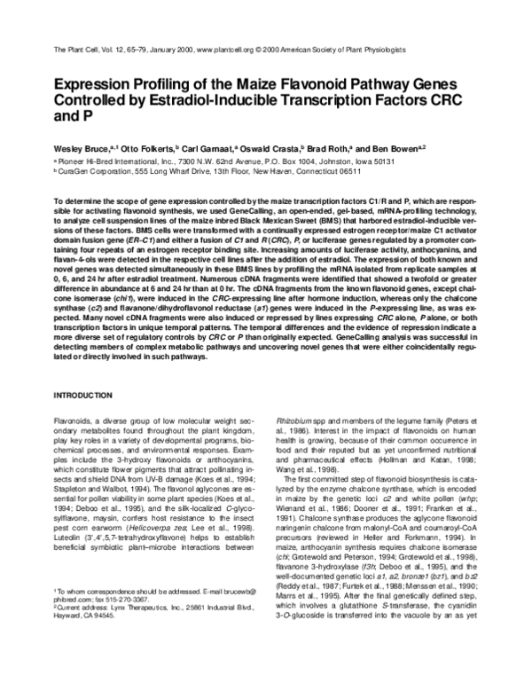 (PDF) Expression profiling of the maize flavonoid pathway genes ...