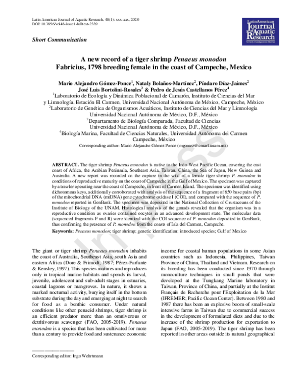 (PDF) A new record of a tiger shrimp Penaeus monodon Fabricius, 1798 ...