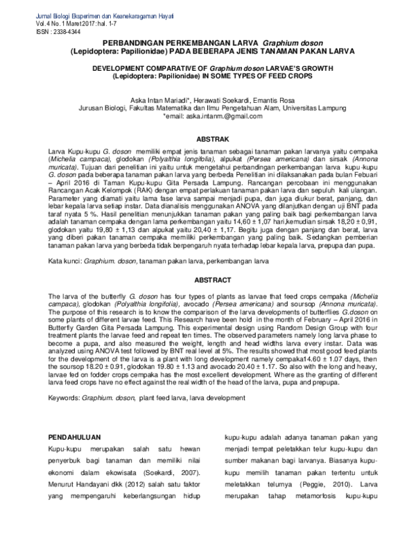 (PDF) PERBANDINGAN PERKEMBANGAN LARVA Graphium doson (Lepidoptera ...
