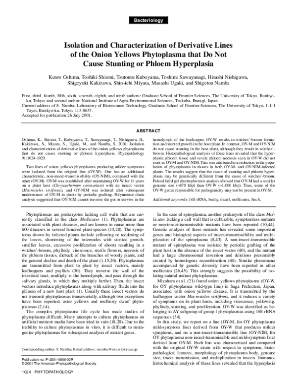 (PDF) Isolation and Characterization of Derivative Lines of the Onion ...