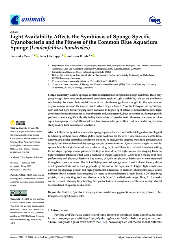 (PDF) Light Availability Affects the Symbiosis of Sponge Specific ...