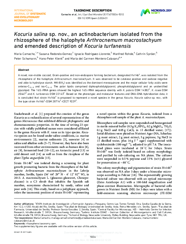(PDF) Kocuria salina sp. nov., an actinobacterium isolated from the ...