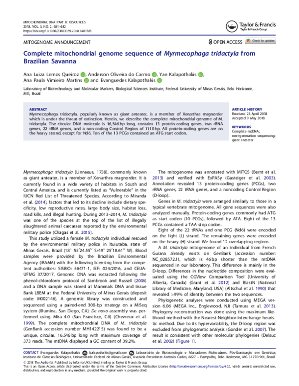 (PDF) Complete mitochondrial genome sequence of Myrmecophaga tridactyla ...