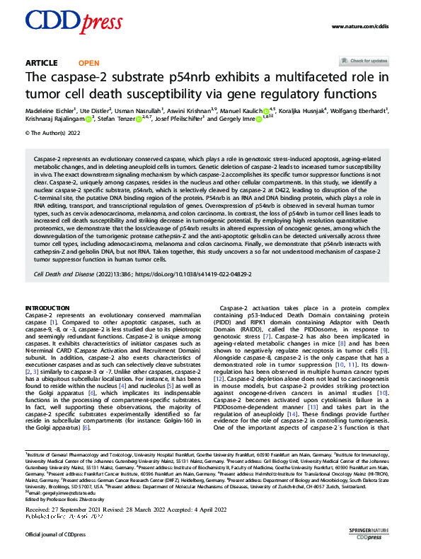 (PDF) The caspase-2 substrate p54nrb exhibits a multifaceted role in ...
