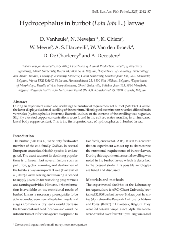 (PDF) Hydrocephalus in burbot (Lota lota L.) larvae
