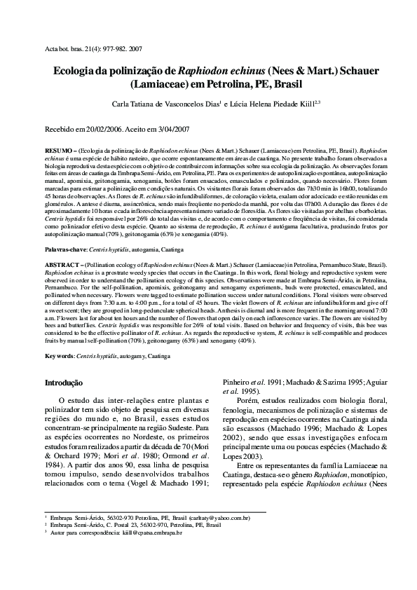 (PDF) Ecologia da polinização de Raphiodon echinus (Nees & Mart ...