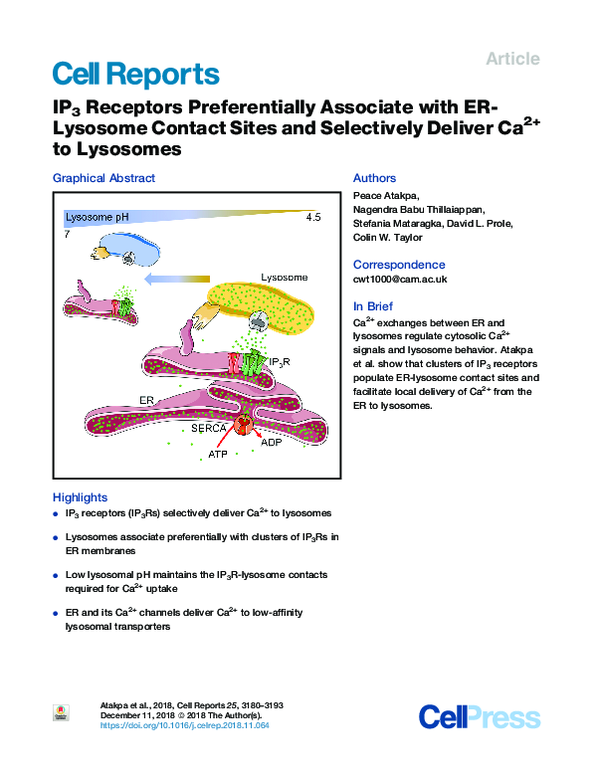 (PDF) IP3 Receptors Preferentially Associate with ER-Lysosome Contact ...