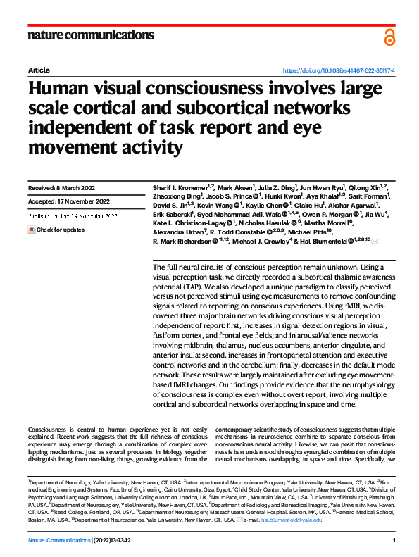(PDF) The major brain networks of human visual consciousness