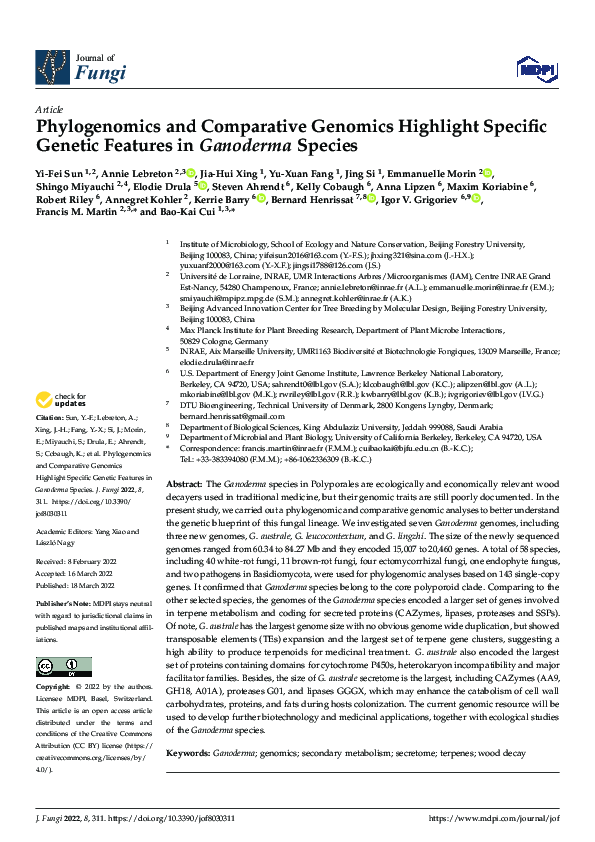 (PDF) Phylogenomics and Comparative Genomics Highlight Specific Genetic ...