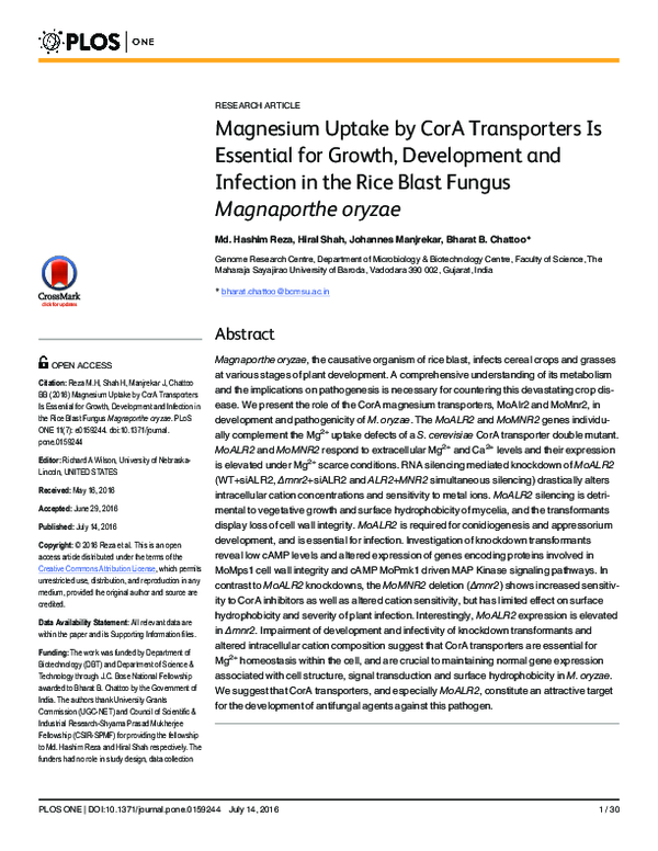 (PDF) Magnesium Uptake by CorA Transporters Is Essential for Growth ...
