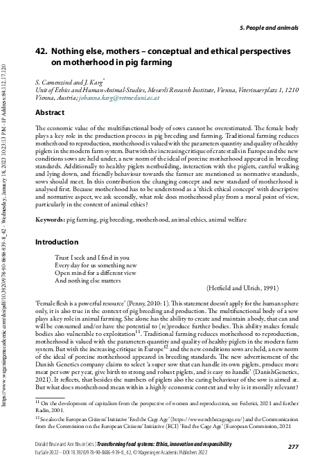 (PDF) Nothing else, mothers – conceptual and ethical perspectives on ...