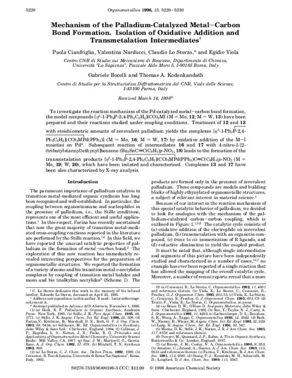 (PDF) Mechanism of the Palladium-Catalyzed Metal−Carbon Bond Formation ...