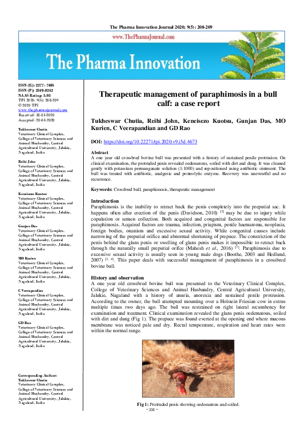 (PDF) Therapeutic management of paraphimosis in a bull calf: a case report