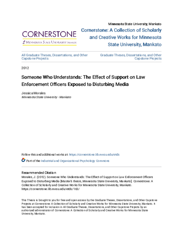 (PDF) Someone Who Understands: The Effect of Support on Law Enforcement ...