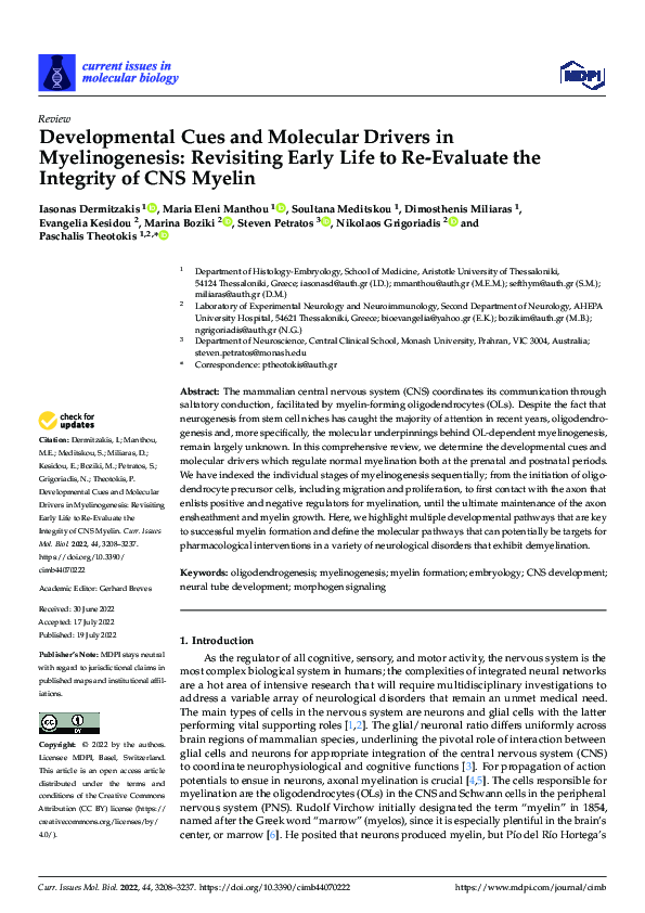 (PDF) Developmental Cues and Molecular Drivers in Myelinogenesis ...