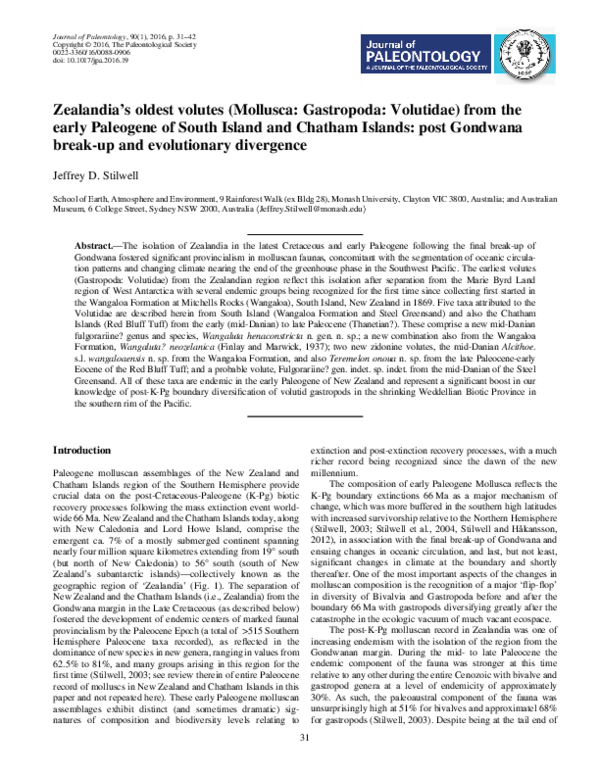 (PDF) Zealandia’s oldest volutes (Mollusca: Gastropoda: Volutidae) from ...