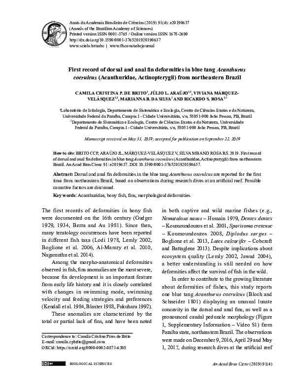 (PDF) First record of dorsal and anal fin deformities in blue tang ...