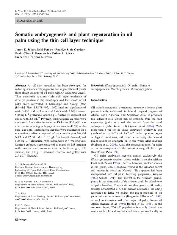 (PDF) Somatic embryogenesis and plant regeneration in oil palm using ...