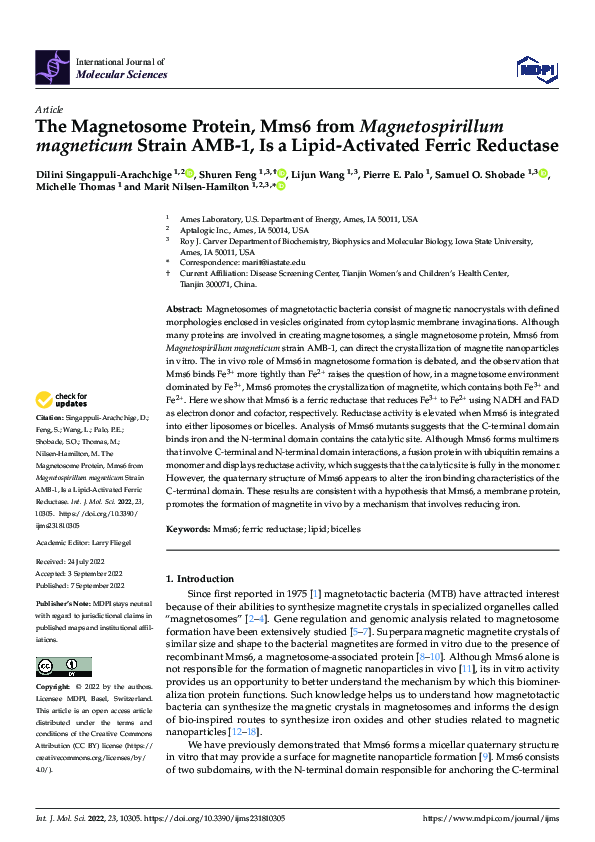 (PDF) The Magnetosome Protein, Mms6 from Magnetospirillum magneticum ...