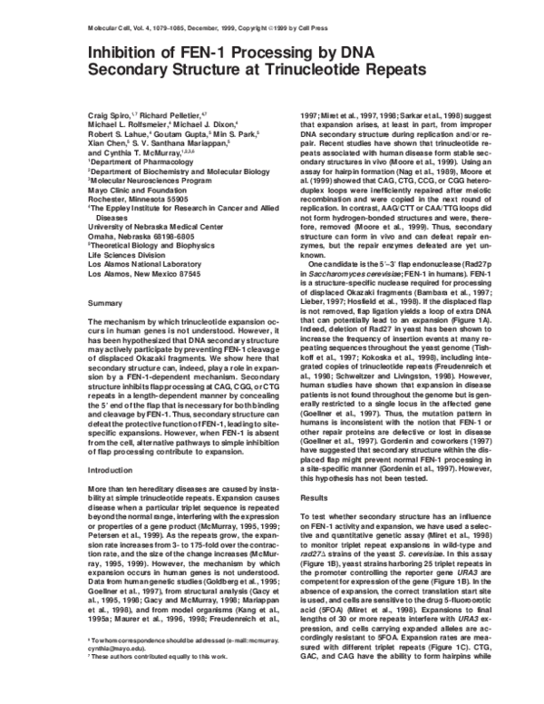 (PDF) Inhibition of FEN-1 Processing by DNA Secondary Structure at ...