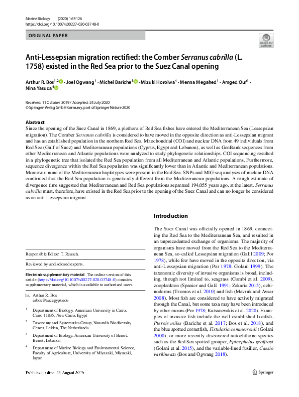 (PDF) Anti-Lessepsian migration rectified: the Comber Serranus cabrilla ...
