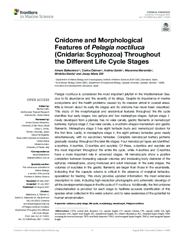 (PDF) Cnidome and Morphological Features of Pelagia noctiluca (Cnidaria: Scyphozoa) Throughout ...