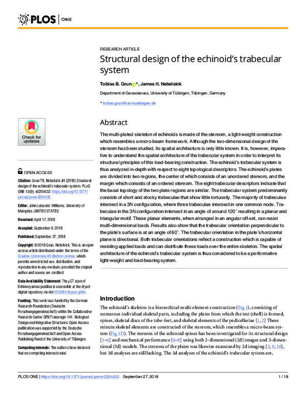 (PDF) Structural design of the echinoid’s trabecular system