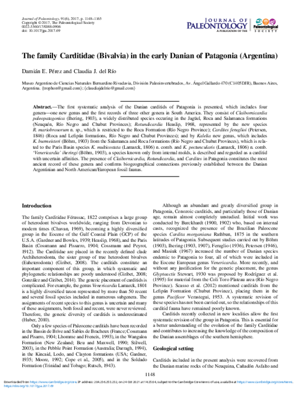 (PDF) The family Carditidae (Bivalvia) in the early Danian of Patagonia ...