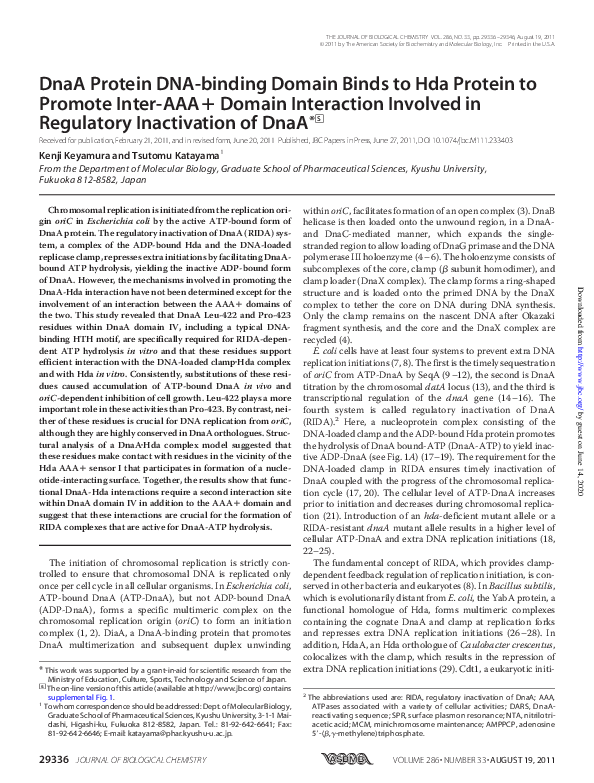 (PDF) DnaA Protein DNA-binding Domain Binds to Hda Protein to Promote ...